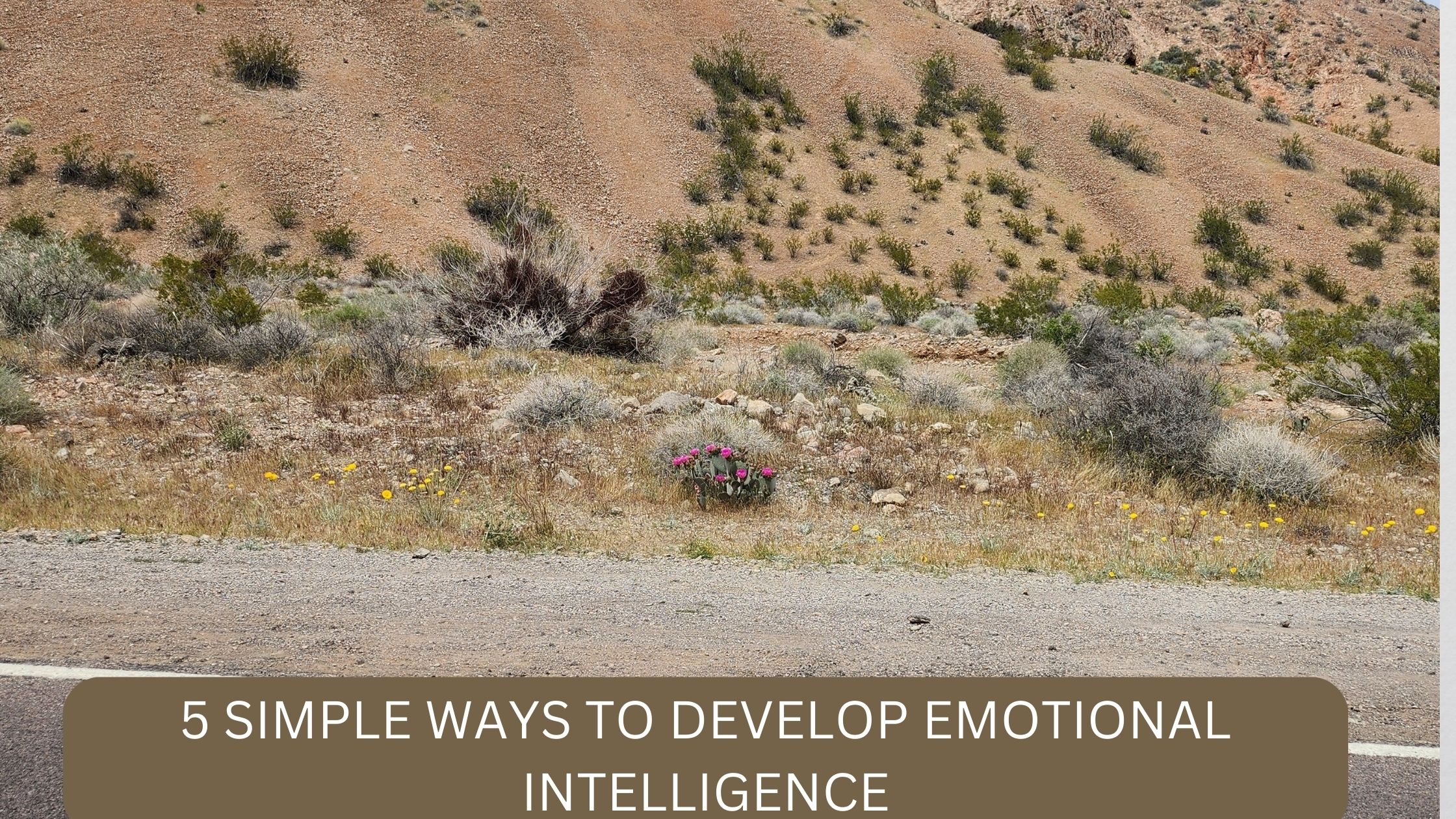 5 Simple ways to Develop Emotional Intelligence - A Glass of Cheri